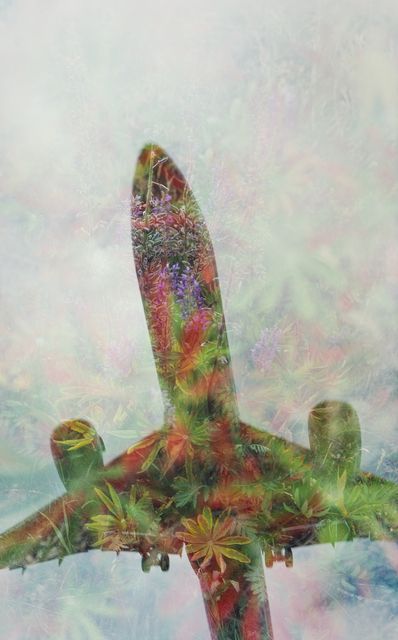 Erle M. Kyllingmark - 3 Artworks, Bio & Shows on Artsy