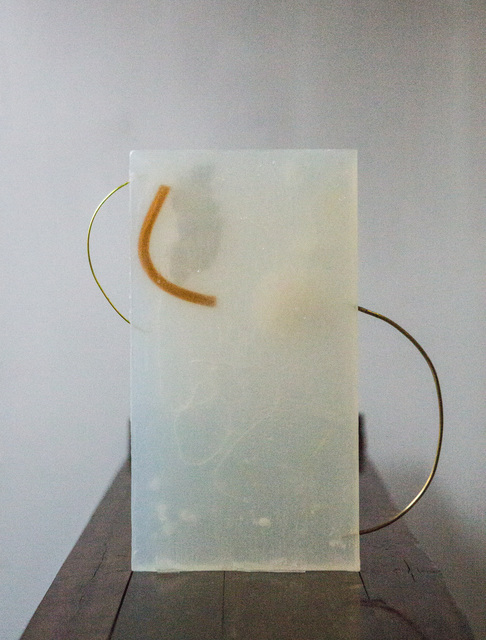 Anicka Yi - 18 Artworks, Bio & Shows on Artsy