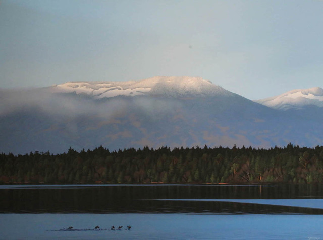 Carol Haigh - 6 Artworks, Bio & Shows on Artsy