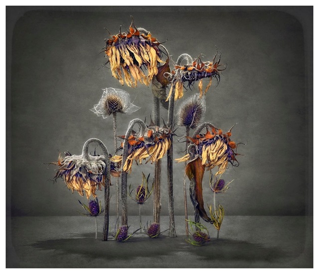 Perfectly Small | Joanna Bryant & Julian Page | Artsy