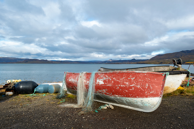 Juliet Haas - 1 Artwork, Bio & Shows on Artsy