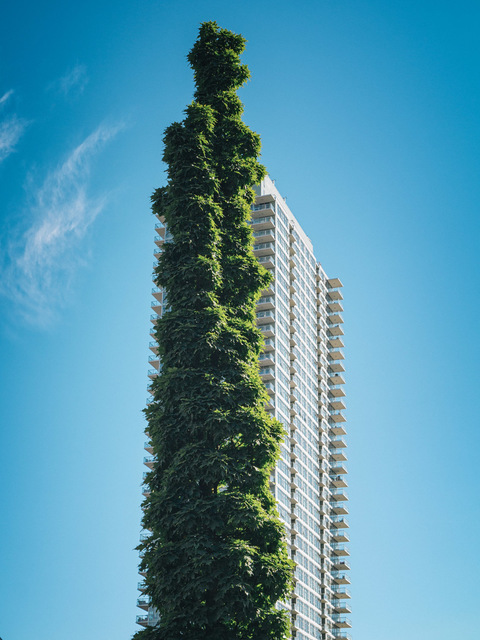 Joseph P. Traina | LOST Seattle (2018) | Artsy