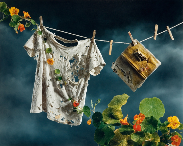 Jo Whaley | Suspension of Disbelief (1995) | Available for Sale | Artsy