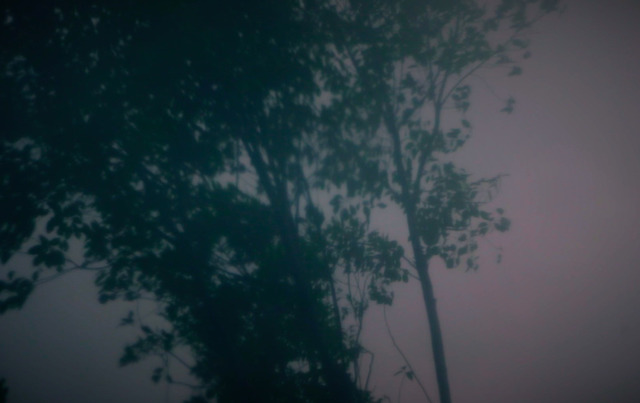 Tang Chao - 3 Artworks, Bio & Shows on Artsy