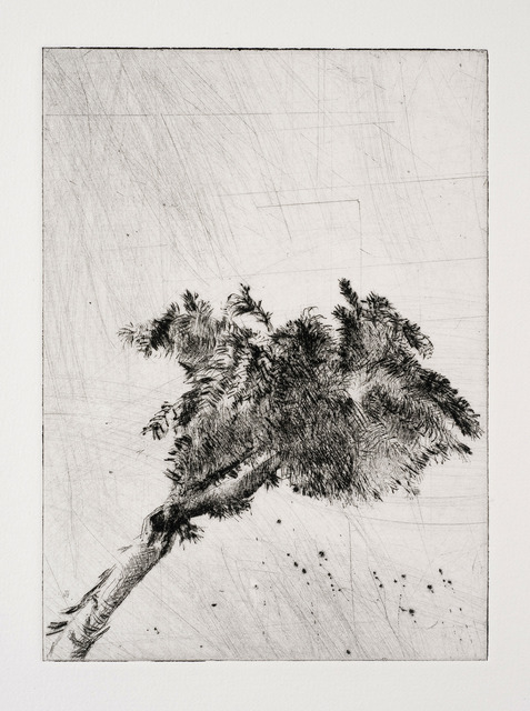 Lucas Reiner - 20 Artworks, Bio & Shows on Artsy