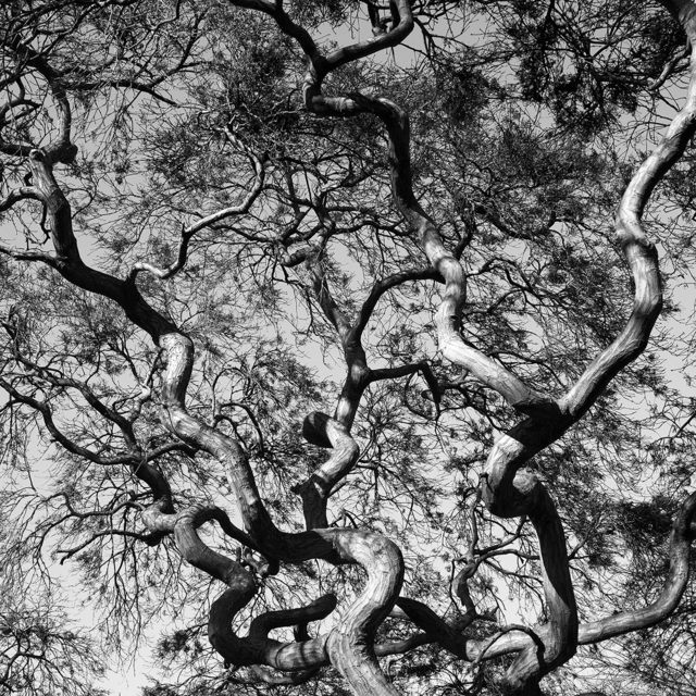 Paul Rider - 1 Artwork, Bio & Shows on Artsy