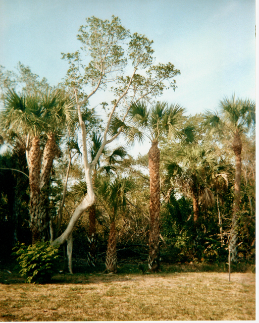 LiLi Jackson - 4 Artworks, Bio & Shows on Artsy