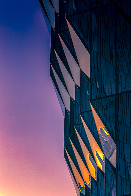 Daniel Jenney - 2 Artworks, Bio & Shows on Artsy