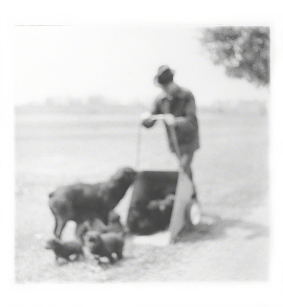 Photographer Bill Jacobson Fêted in Boston with Joint Retrospective