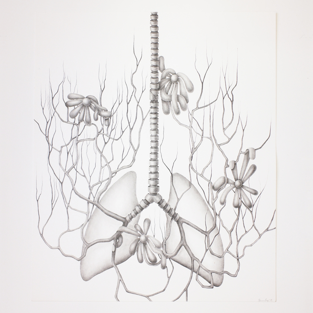 Devra Fox - 18 Artworks, Bio & Shows on Artsy