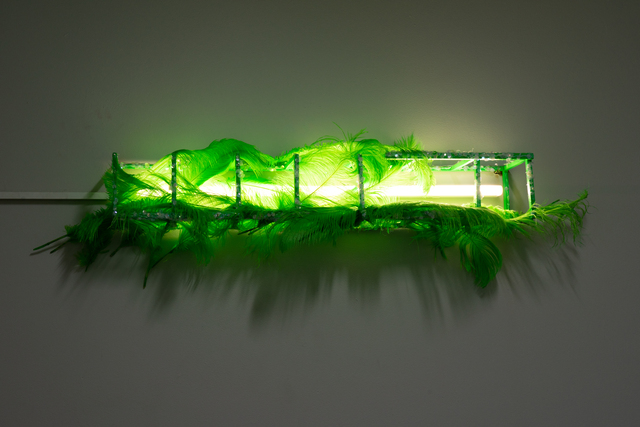 Spencer Lai - 28 Artworks, Bio & Shows on Artsy