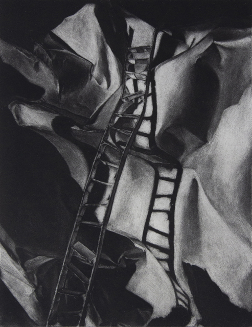 Devon Stackonis - 7 Artworks, Bio & Shows on Artsy