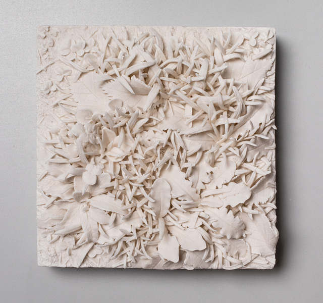 Kate Macdowell Biography