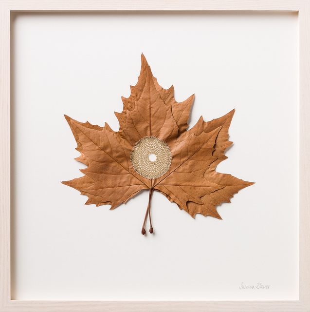 Susanna Bauer - 67 Artworks, Bio & Shows on Artsy