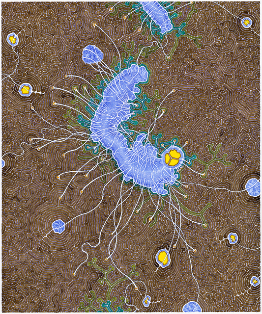 Daniel Zeller - 50 Artworks, Bio & Shows on Artsy