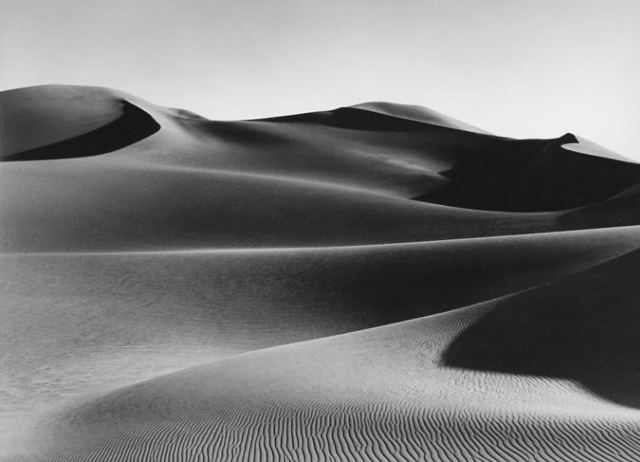 Steve Molnar - 1 Artwork, Bio & Shows on Artsy