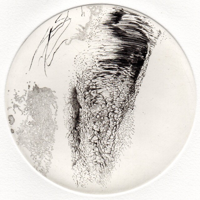 Catherine Gillet - 7 Artworks, Bio & Shows on Artsy