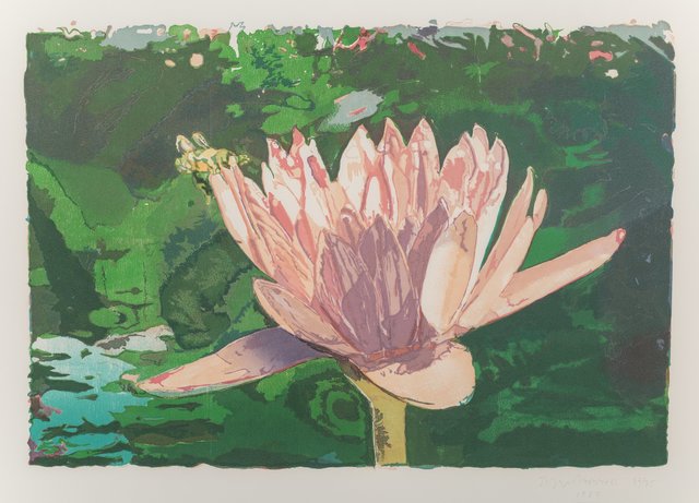 Joseph Raffael | Untitled (1987) | Artsy