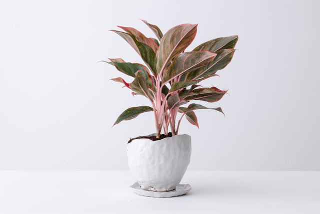 Joe Sturm - 2 Artworks, Bio & Shows on Artsy