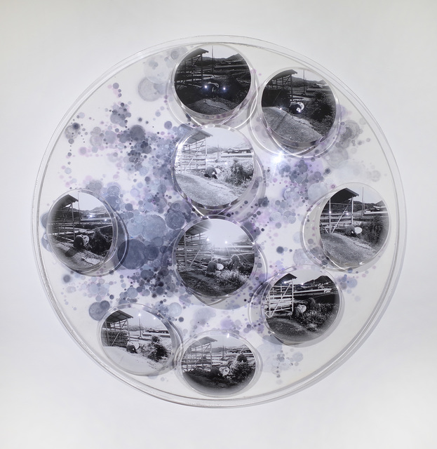 Michiyoshi Deguchi - 1 Artwork, Bio & Shows on Artsy