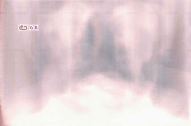 Fabio Sandri - 4 Artworks, Bio & Shows on Artsy