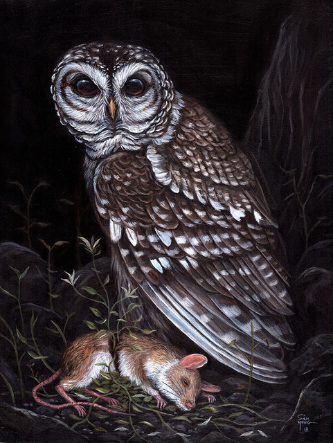 Sam Yong - 13 Artworks, Bio & Shows on Artsy