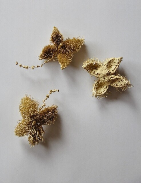 Vincent Laval - 7 Artworks, Bio & Shows on Artsy