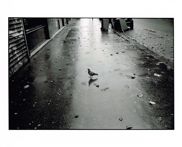 Yoichiro Nishimura Solo Exhibition "Paris" | Artsy