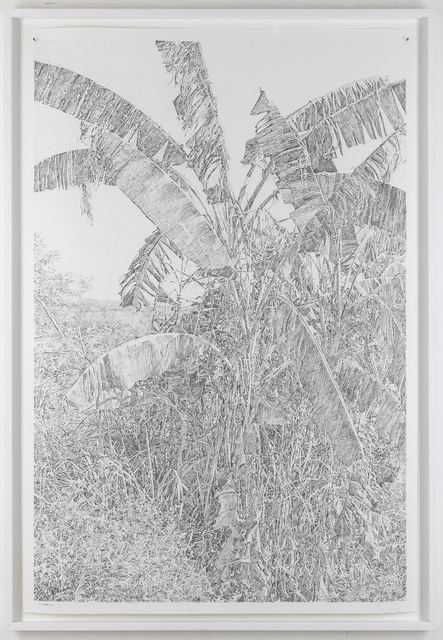 Stijn Cole | 1:1 Oaxaca I (2018) | Artsy