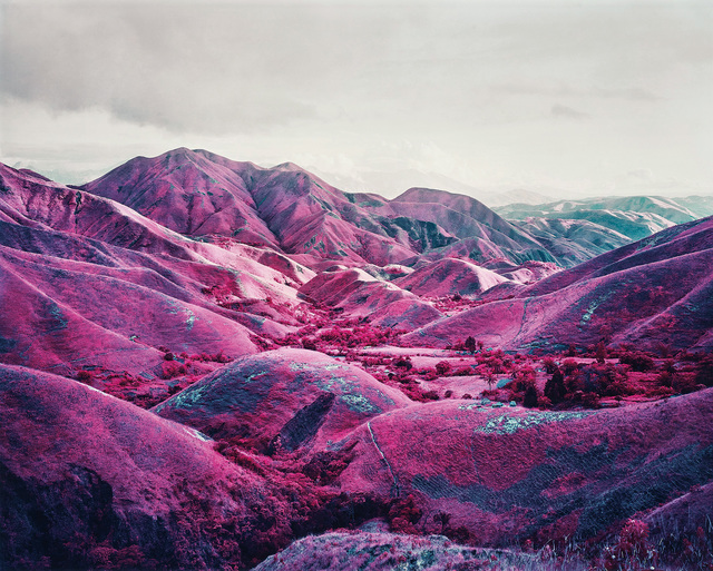 Richard Mosse | Nowhere to Run (Infra series) (2010) | Artsy