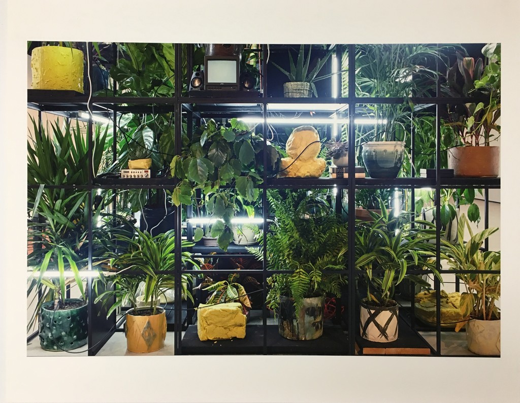 Contemporary Artists Finding Inspiration in Plants - For Sale on Artsy