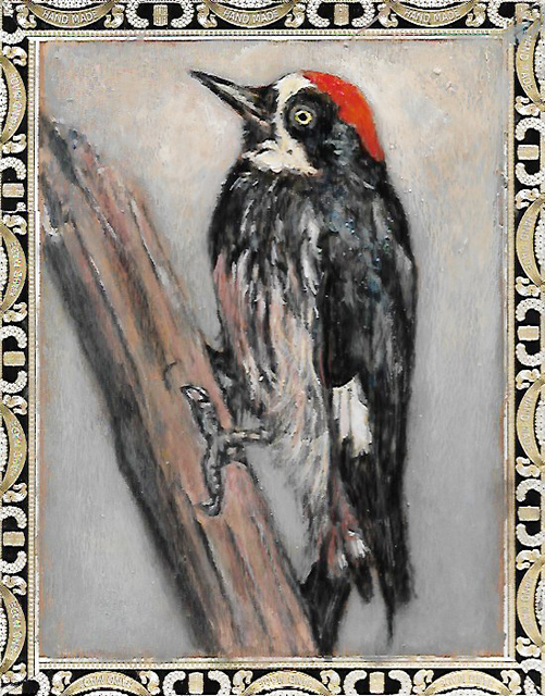 Ed Musante | Acorn Woodpecker/A.Fuente | Available for Sale | Artsy