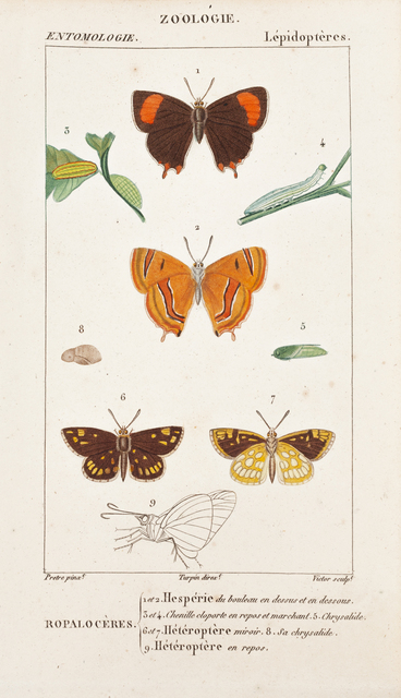 Pierre Turpin - 1 Artwork, Bio & Shows on Artsy