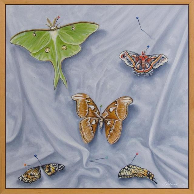 Robert Pasternak | The Moth Collection (2018) | Available for Sale | Artsy